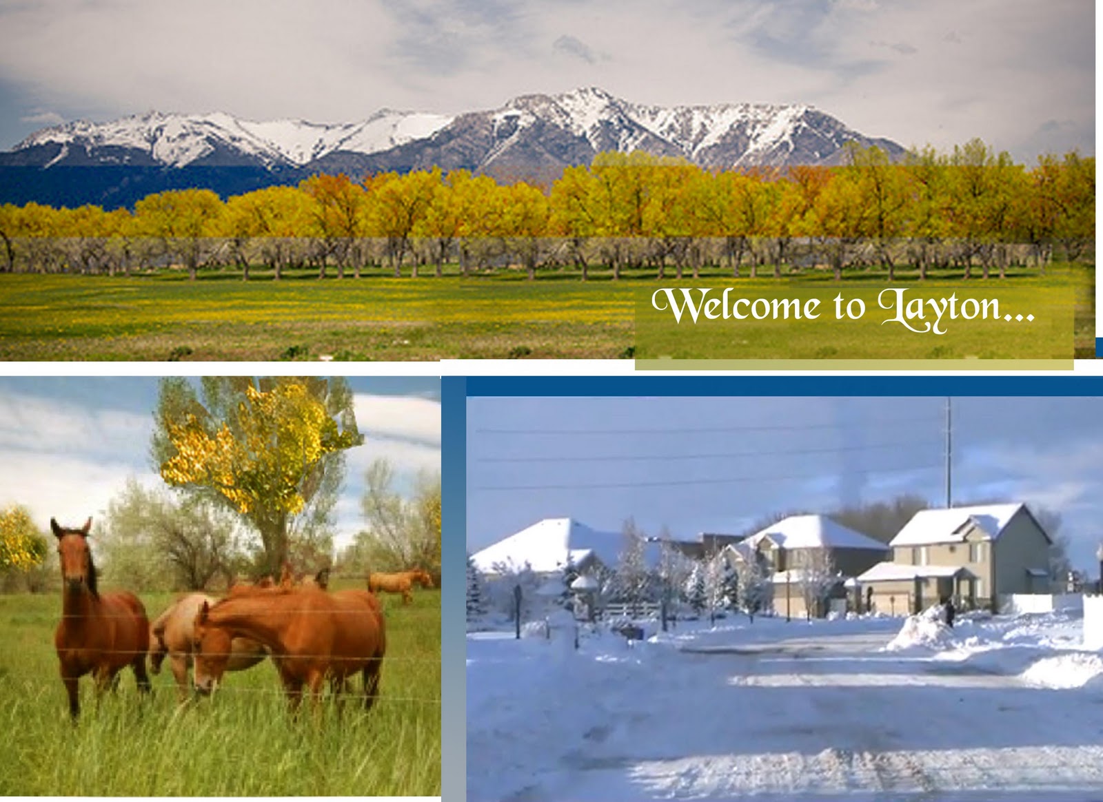 Elder JJ Simonsen: Elder Simonsen- Just completed his first year in the ...