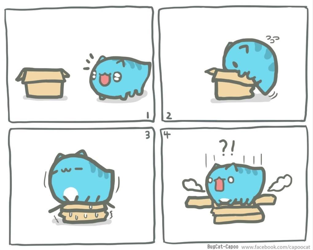 Capoo Cat: Capoo play game