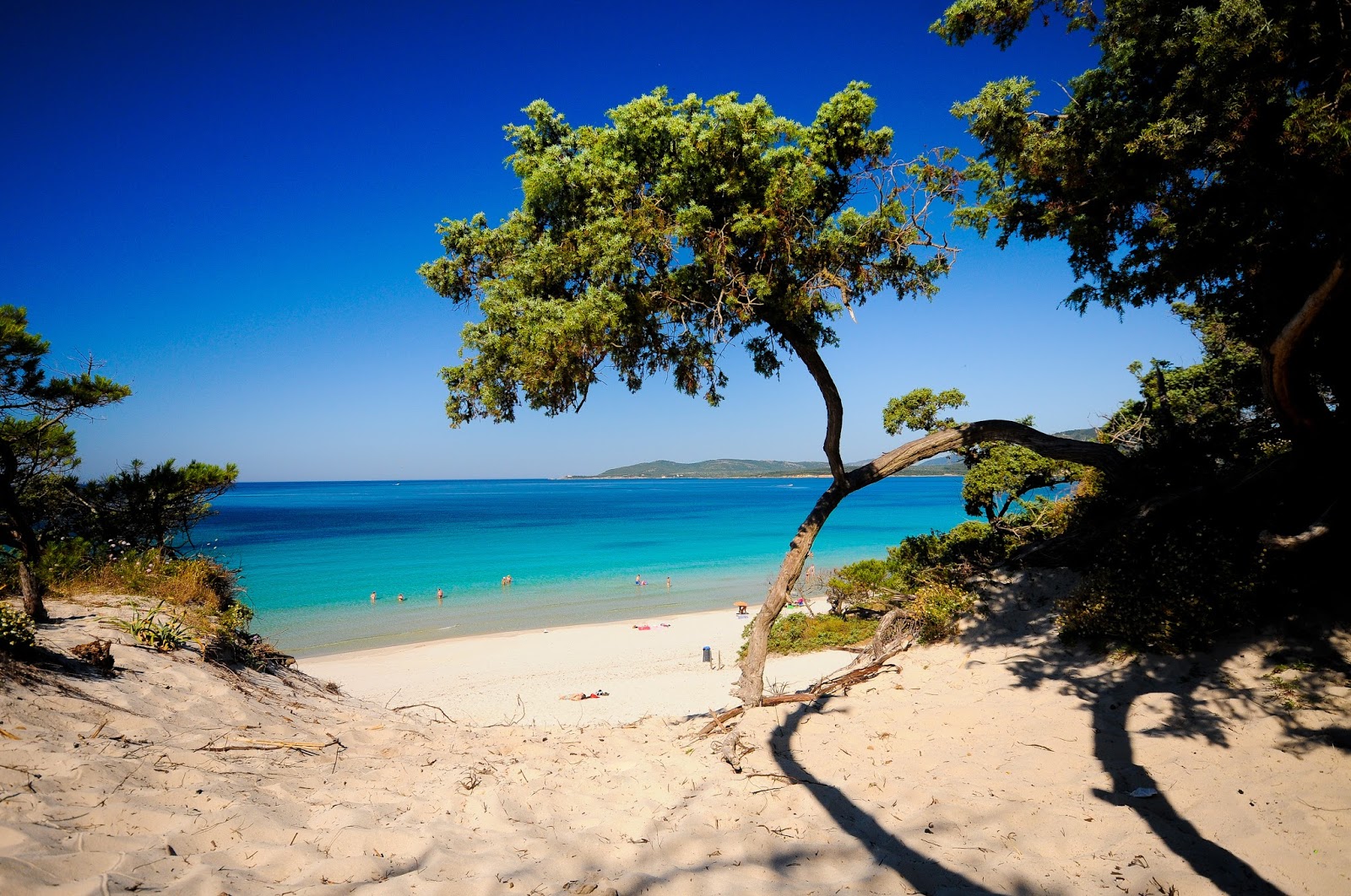 Just Sardinia News: Holidays on Sardinia’s Coral Riviera