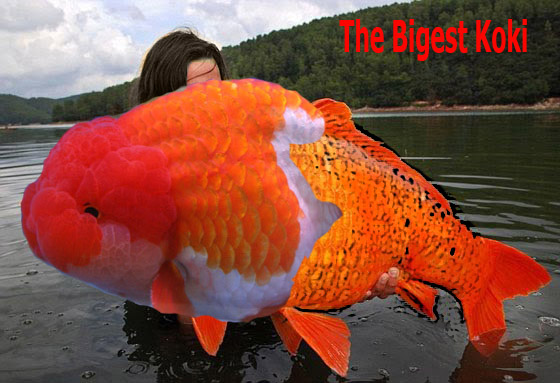 Galleries Of Knowledge And Education: Tips and Tricks In Treating The ...