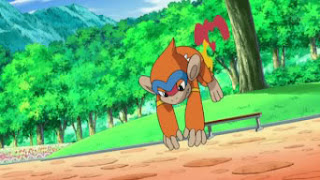 Pokémon Era Black: DP Attack Dex: Monferno