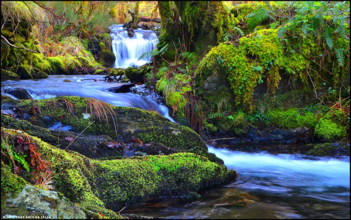 XOAN ARCO DA VELLA: FERVENZA DE SEGÓN - QUINTILLÁN