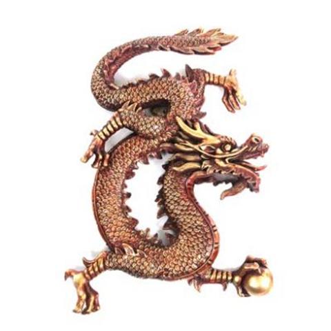 History of World: HISTORY OF DRAGONs