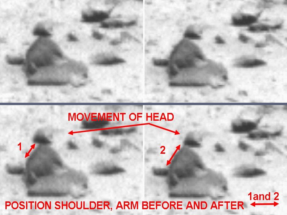 Strange Creature and Skull found on Mars Curiosity Photograph - July 16 ...