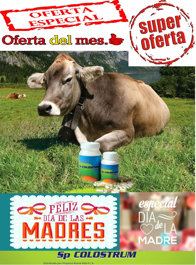 Sp Colostrum, regenerador del sistema inmunológico ÚNICO 100 % natural ...