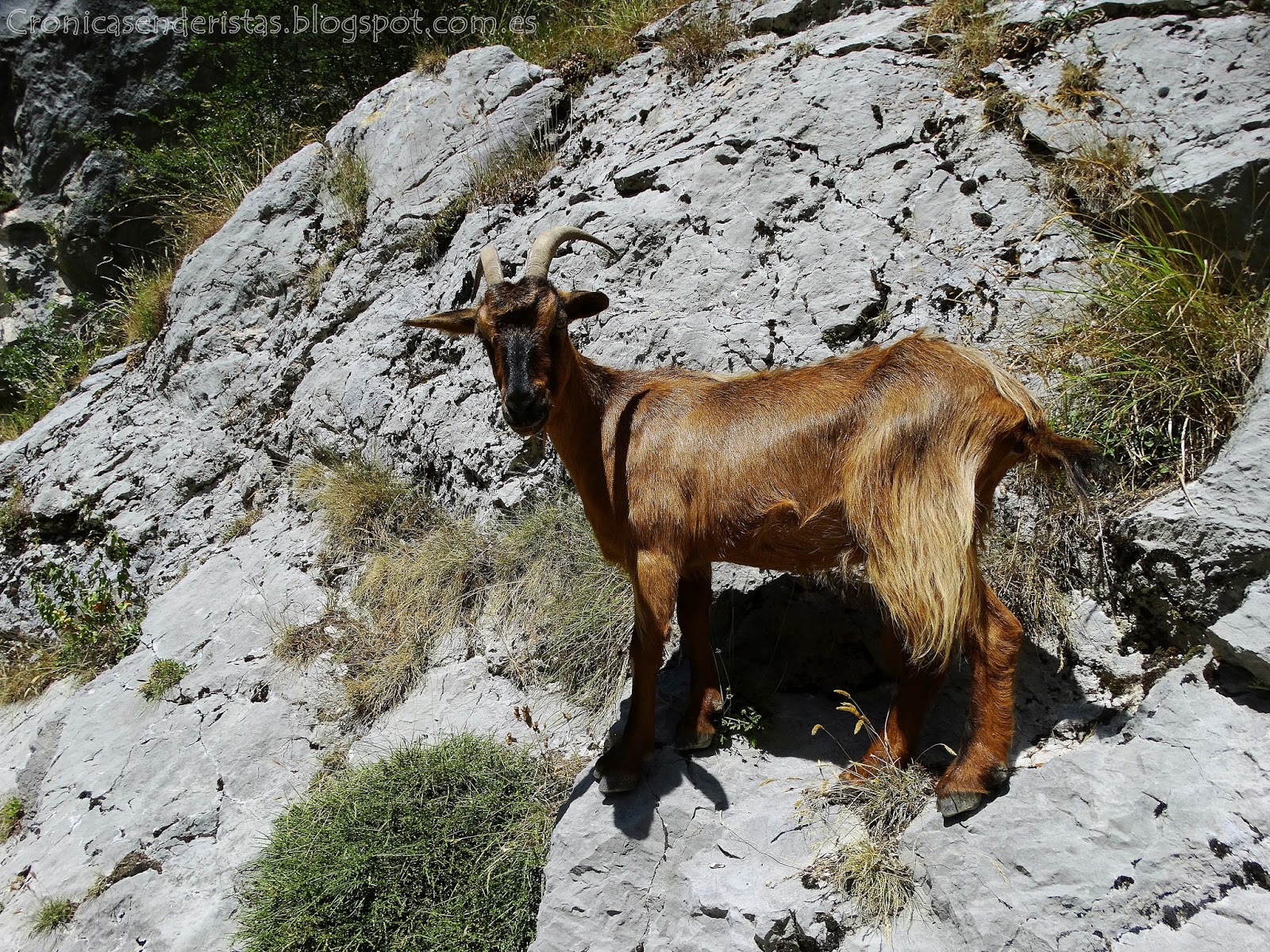 Crónicas Senderistas: Ruta del Cares. Caín-Poncebos. (La Garganta ...