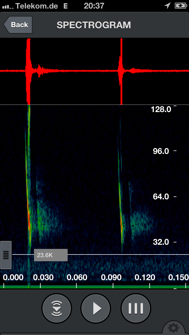 Birds & Bats: A New Bat Call Recording from the Garden of Schwetzingen ...