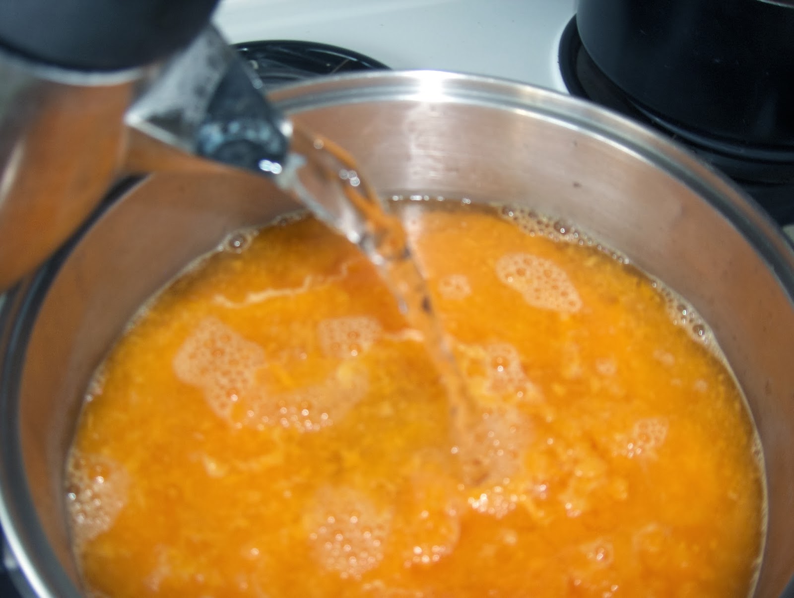 Samoa Revisited: OBSERVATIONS