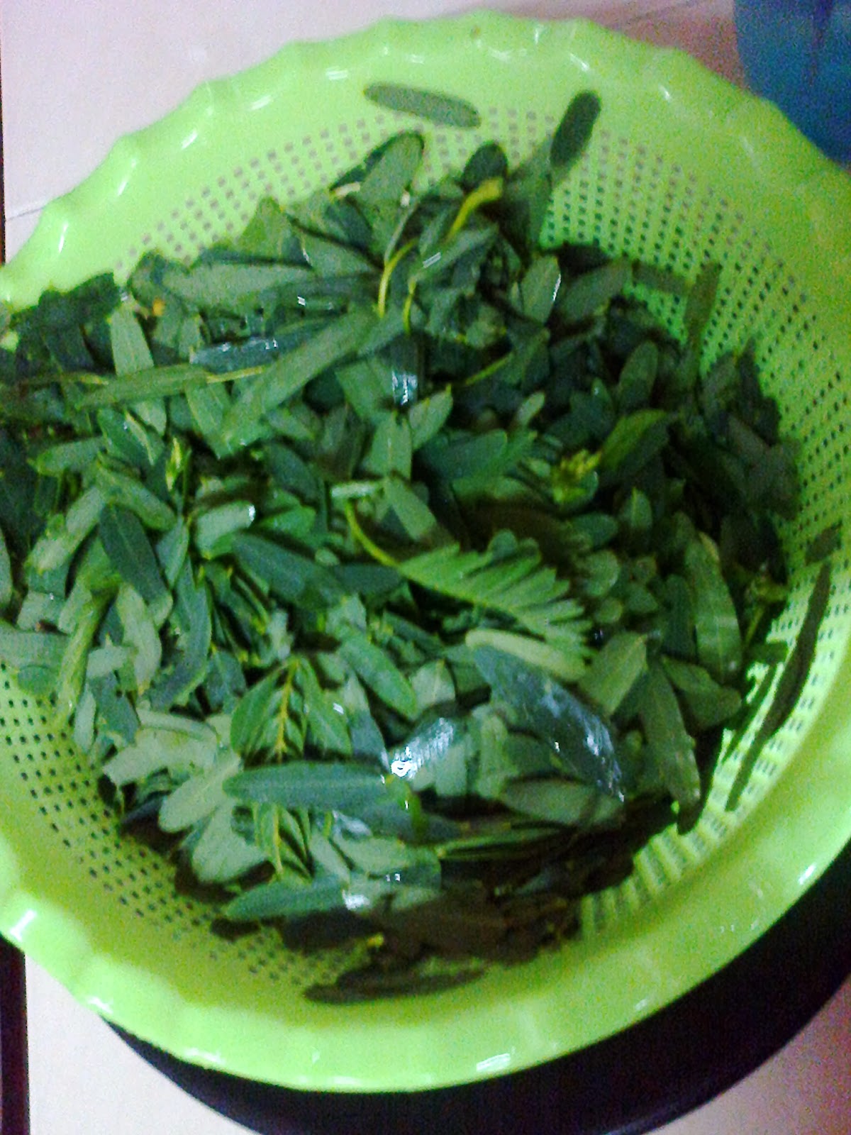 Warna Warni: Cara Masak Lemak Pucuk Turi Bersama Keledek