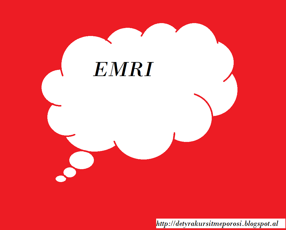 Detyra Kursi Te Gatshme Me Porosi: EMIR