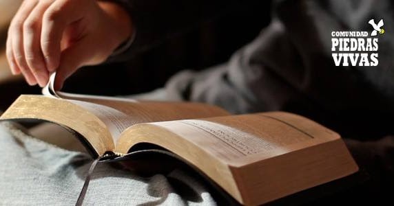 .: Meditación: Marcos 2, 23-28