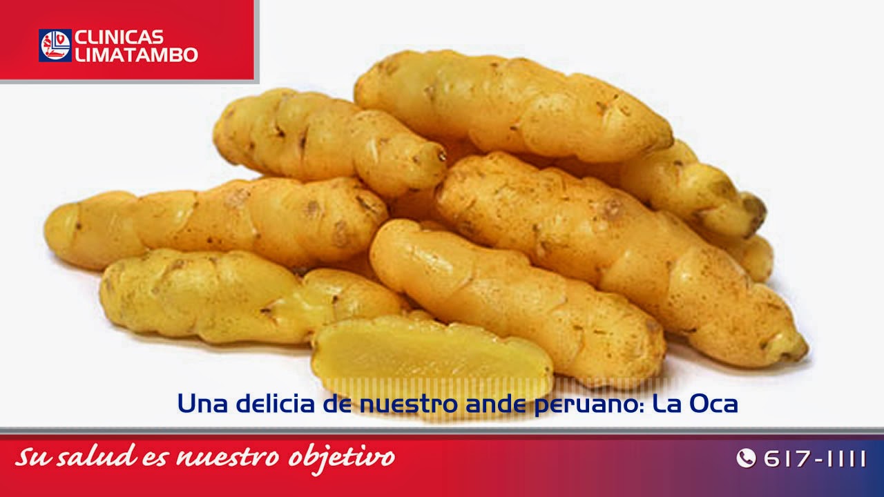 La Oca: una delicia de nuestro ande peruano ~ Clinica Limatambo
