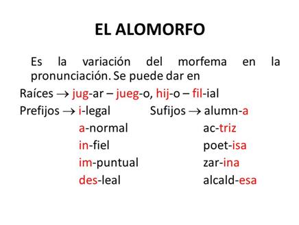 Glosario de términos morfológicos: septiembre 2016