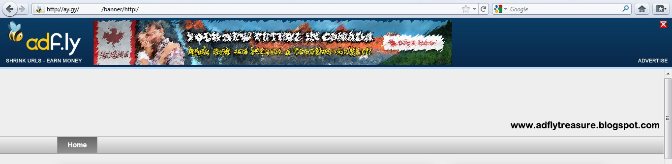 Adfly Treasure: AdFly Website Entry Script