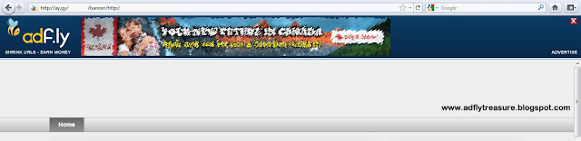 Adfly Treasure: AdFly Website Entry Script