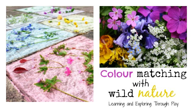 Learning and Exploring Through Play: Learning Colours with Nature