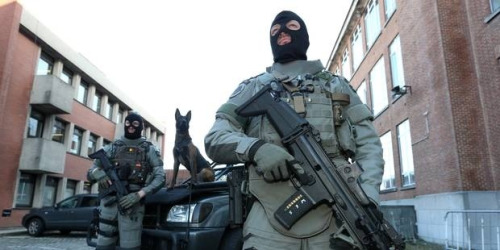 Gsg9 1/87 Unité spéciale: cgsu belgique belgium