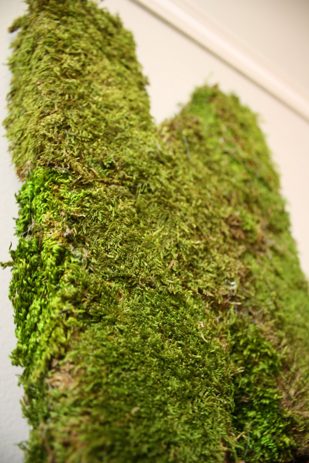 dwell and tell: Honey, You Mossed Try It! - (DIY Moss Letter)