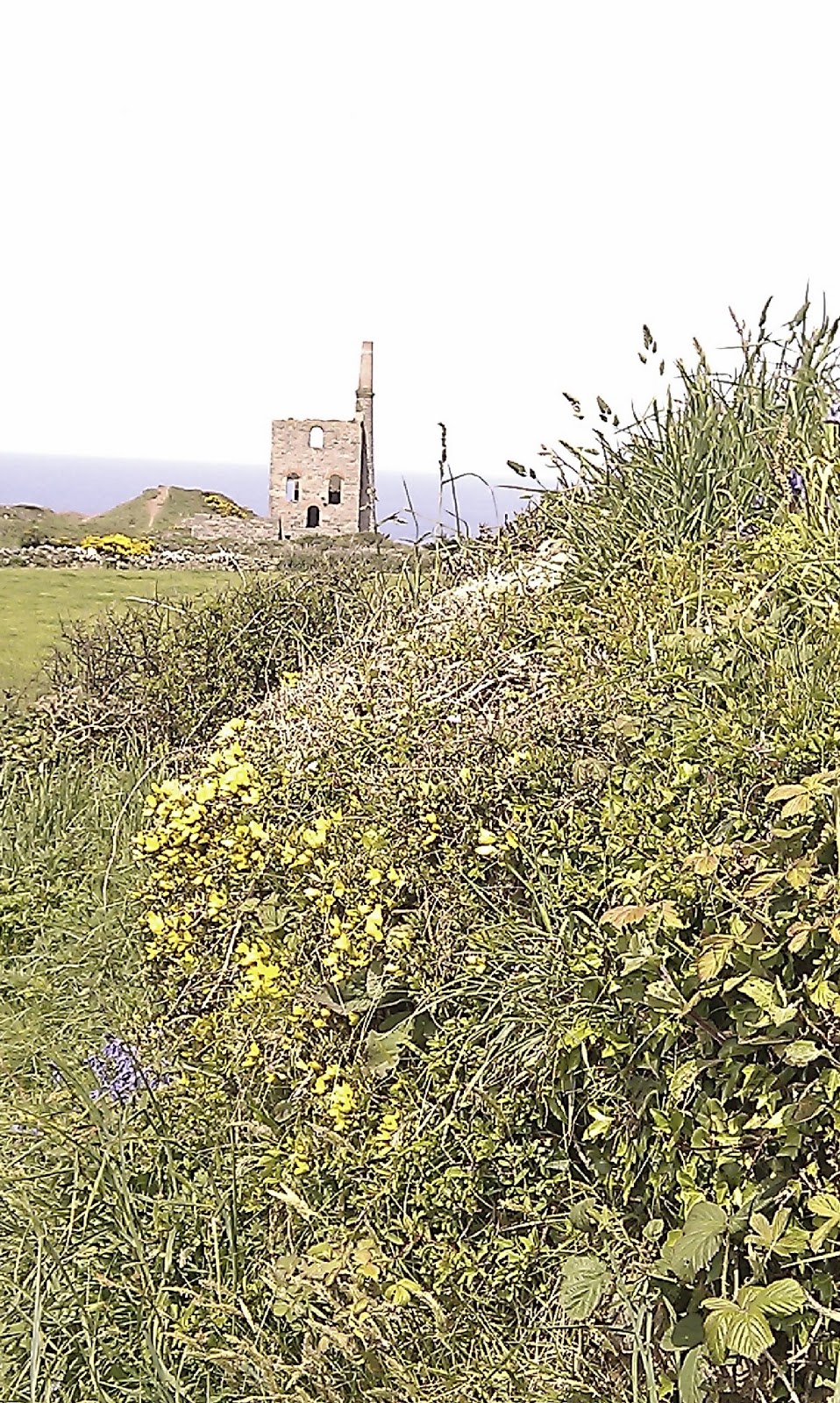 Alice and Florence: Cornish quilt