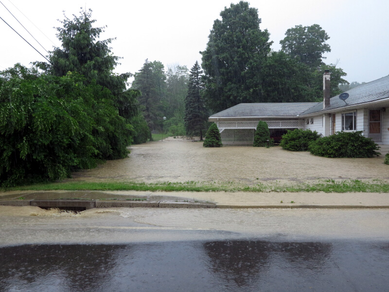 The Joyce Road Neighborhood: Too Much Rain, Too Little Gardening