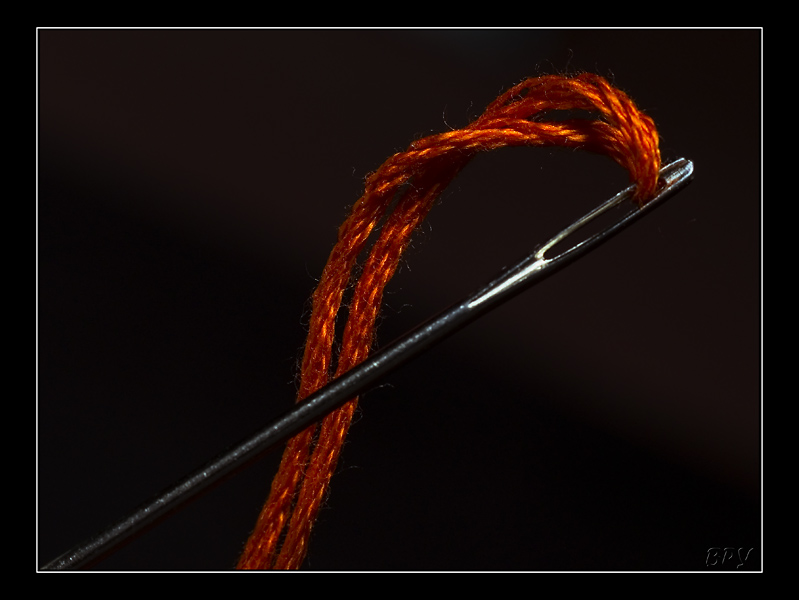 Aida Gómez: LA AGUJA