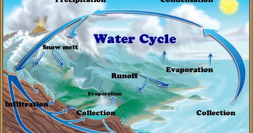 Is Deforestation worth it?