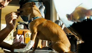 Transformers Matrix imagenes: Mojo