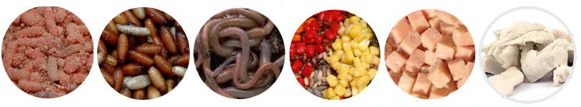 Total Fishing Blog: Fishing For Tench