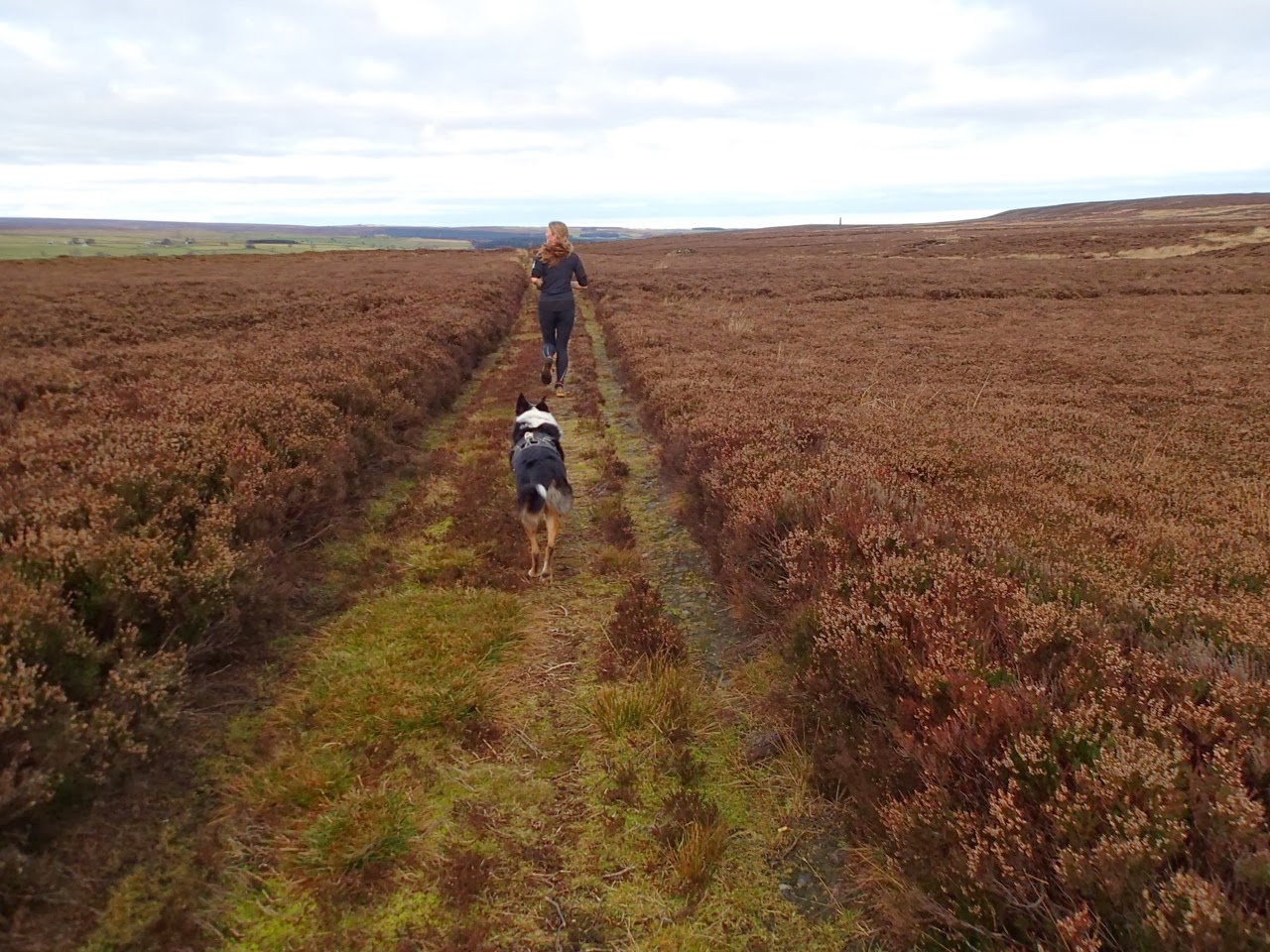 Stolly's Running Blog: Ilton Moor run