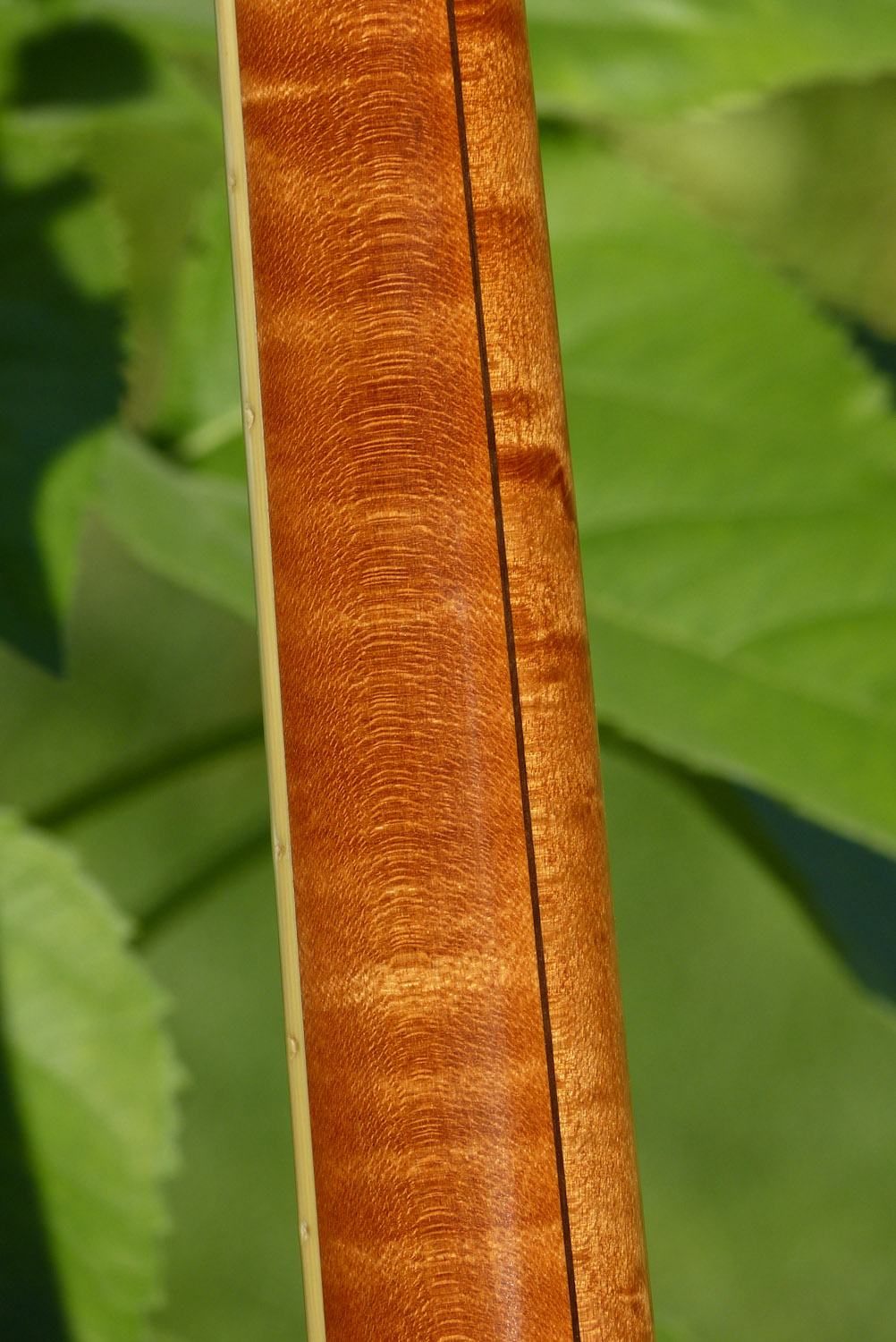 2000 Trillium Octave Mandolin