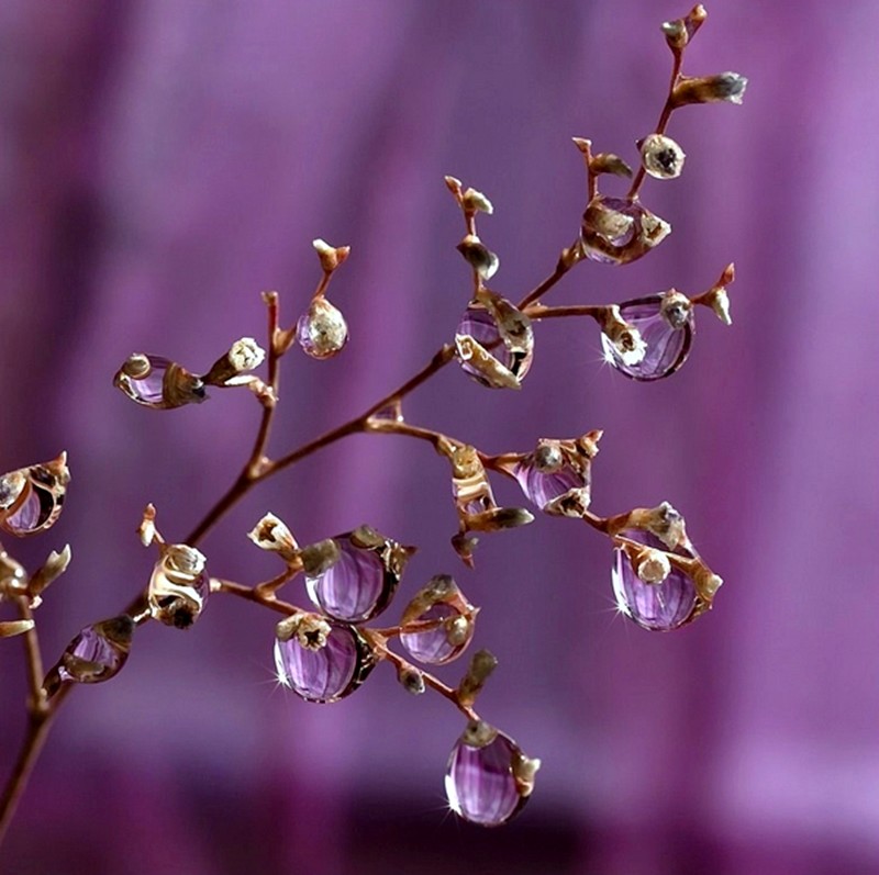 Best WallPapers: Colourful Raindrops Wallpapers