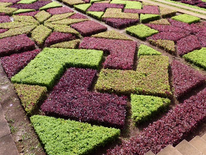 Lo que veo en el mundo: Jardines geométricos