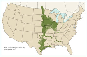 BeyondTheCampfire - Established 2010: Kentucky's Tallgrass Prairie