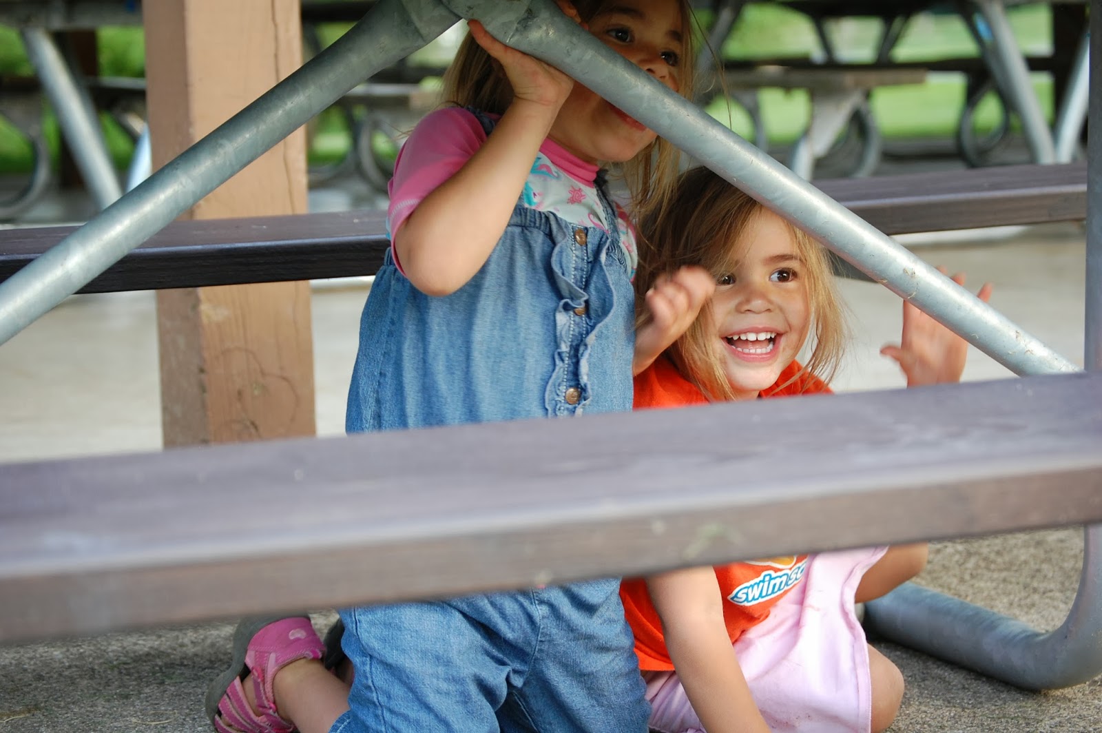 Cavalcade: 2013 - Winter | Art