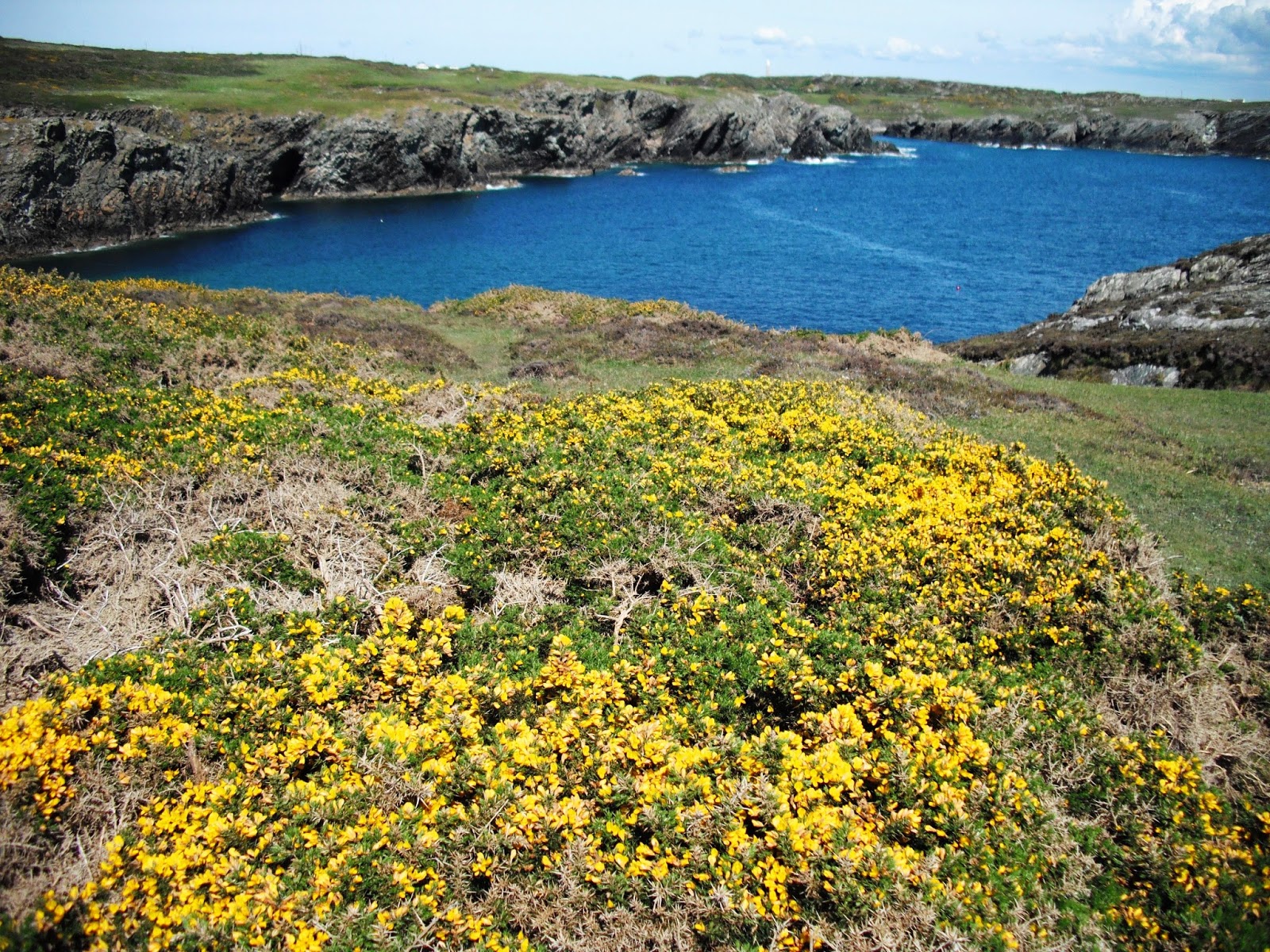 Love my life: Holyhead Coastal Walk