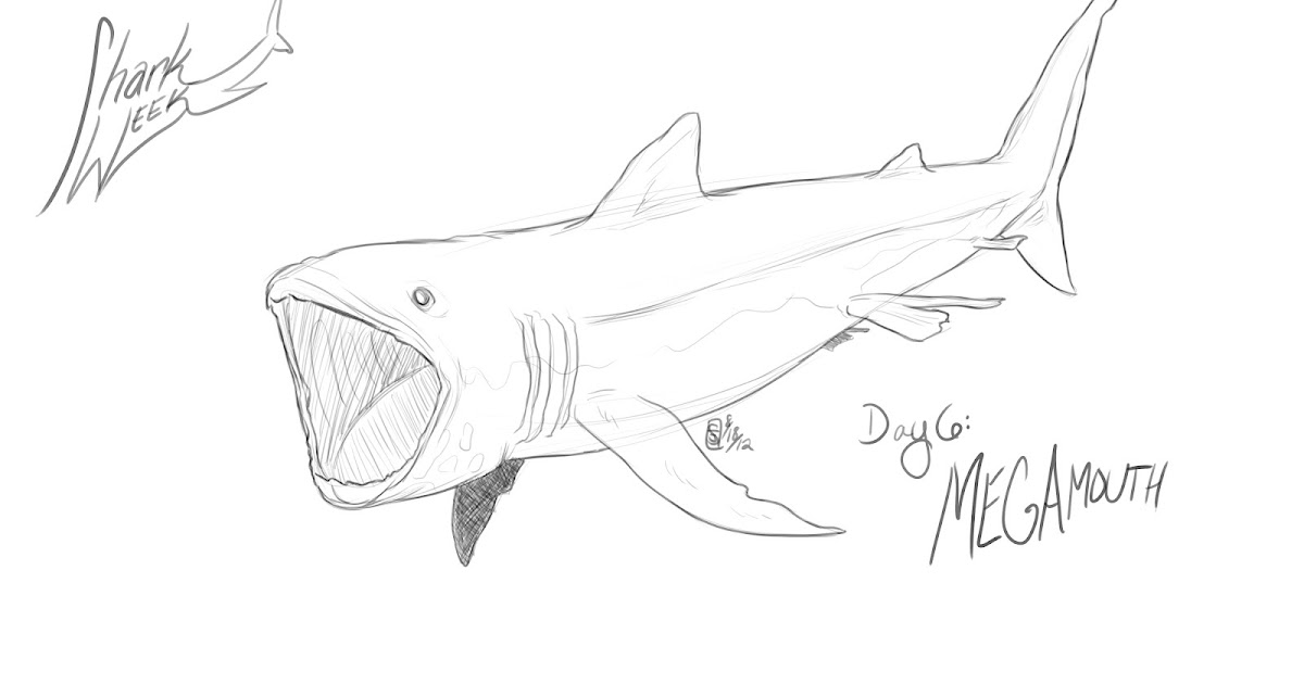Megamouth Shark Coloring Page 1080p