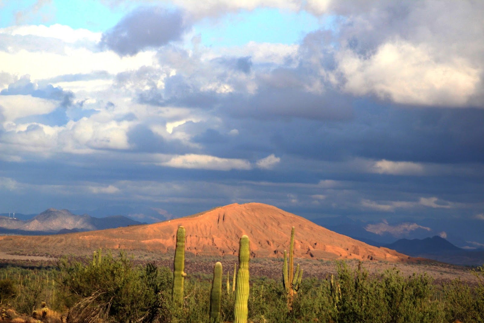 Ecoturismo Caborca : Riserva della Biosfera di El Pinacate e Gran ...
