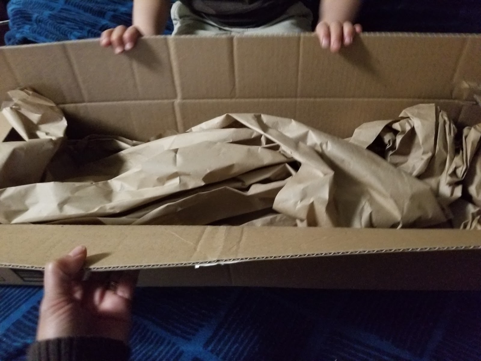 What's inside the big package from Amazon