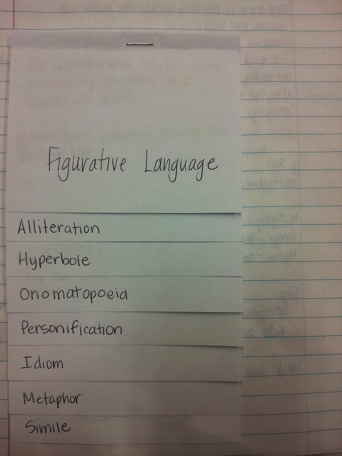 Adventures in Fifth Grade