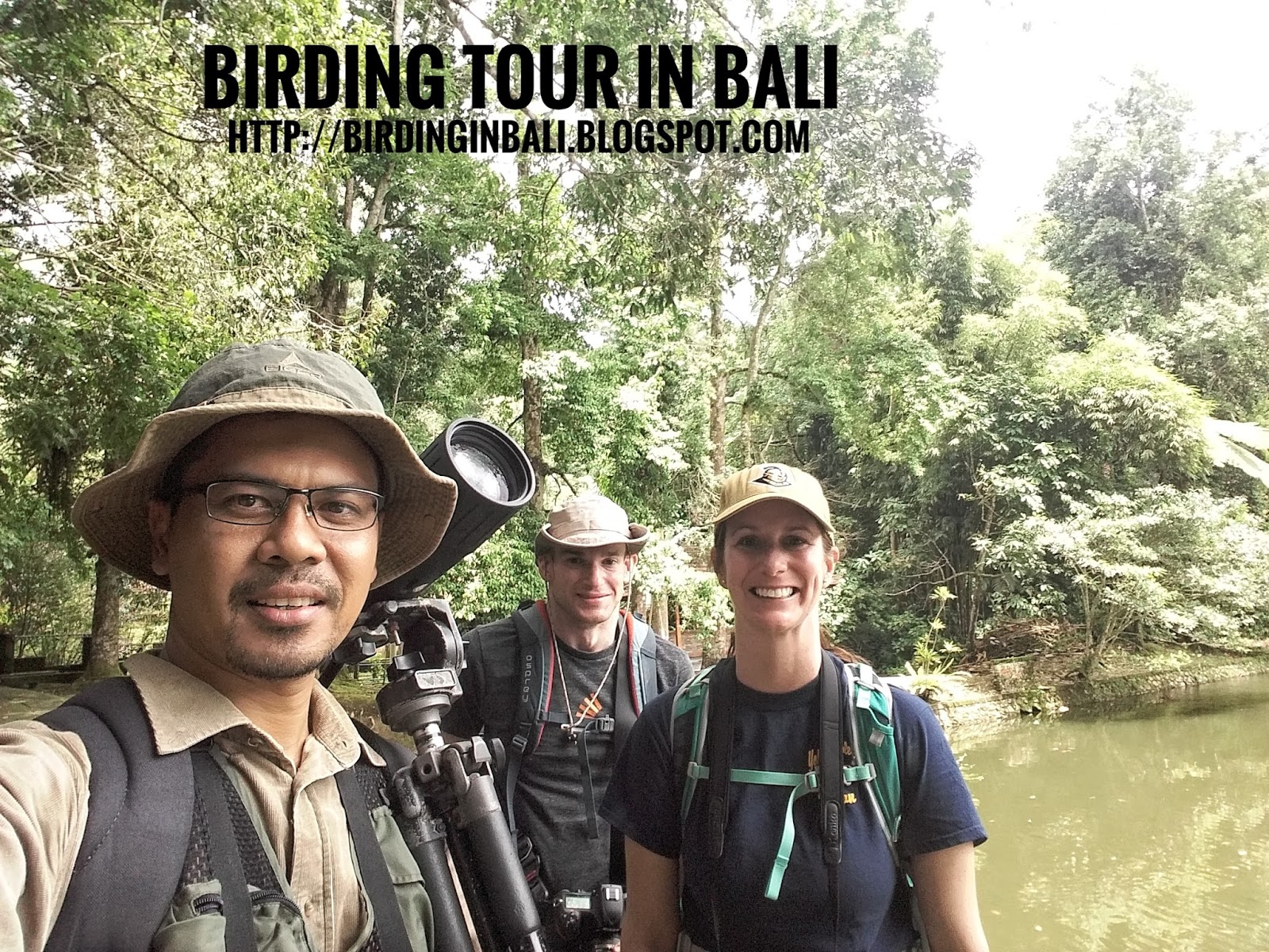 Birding in Bali with Made Surya