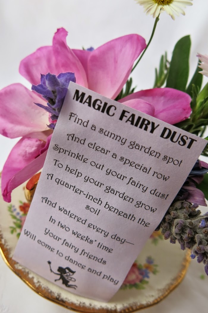 SERENDIPITY AND KATE: MAGIC FAIRY DUST