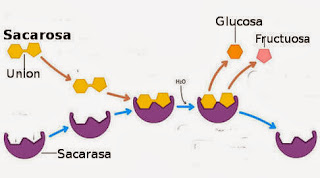 InvestiComun#2: junio 2015