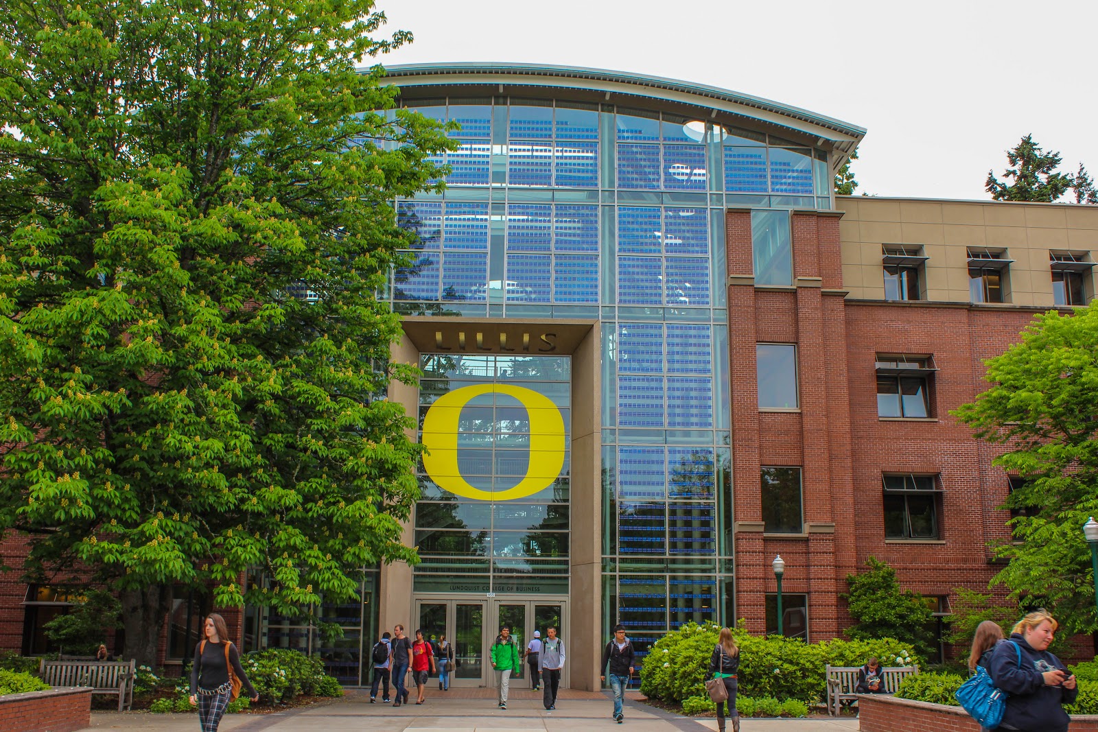 Life of a PipsqueakPion33r: University of Oregon