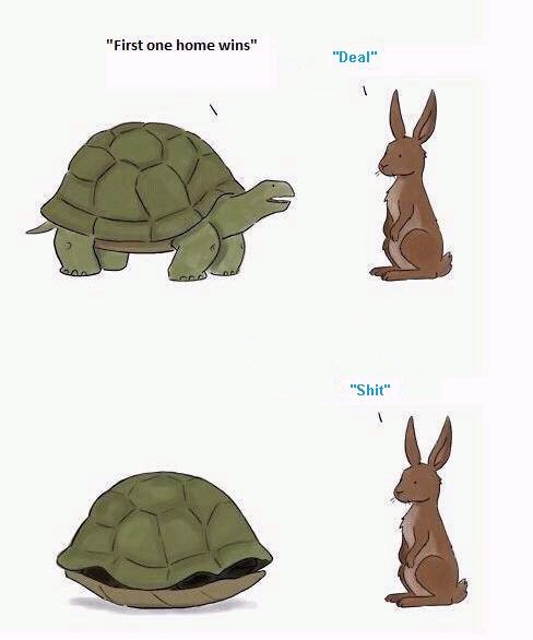 TISOTIT: Tortoise vs Hare - Pic