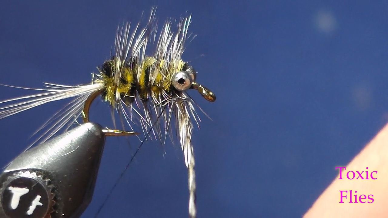 Fly Patterns: Bugeyed Bluegill Bug