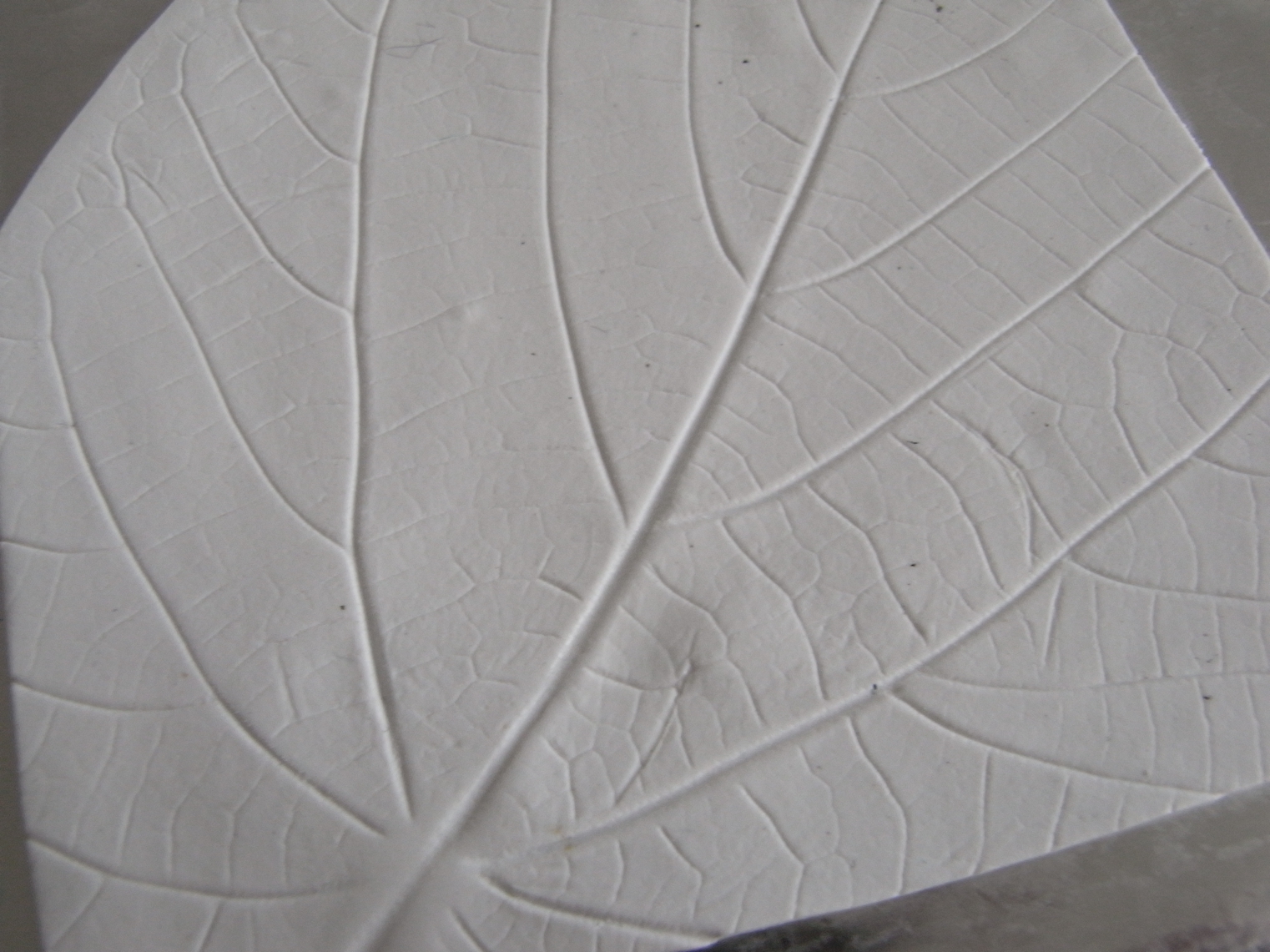 saraccino: Shiny leaves - polymer clay, new molds and how to make them