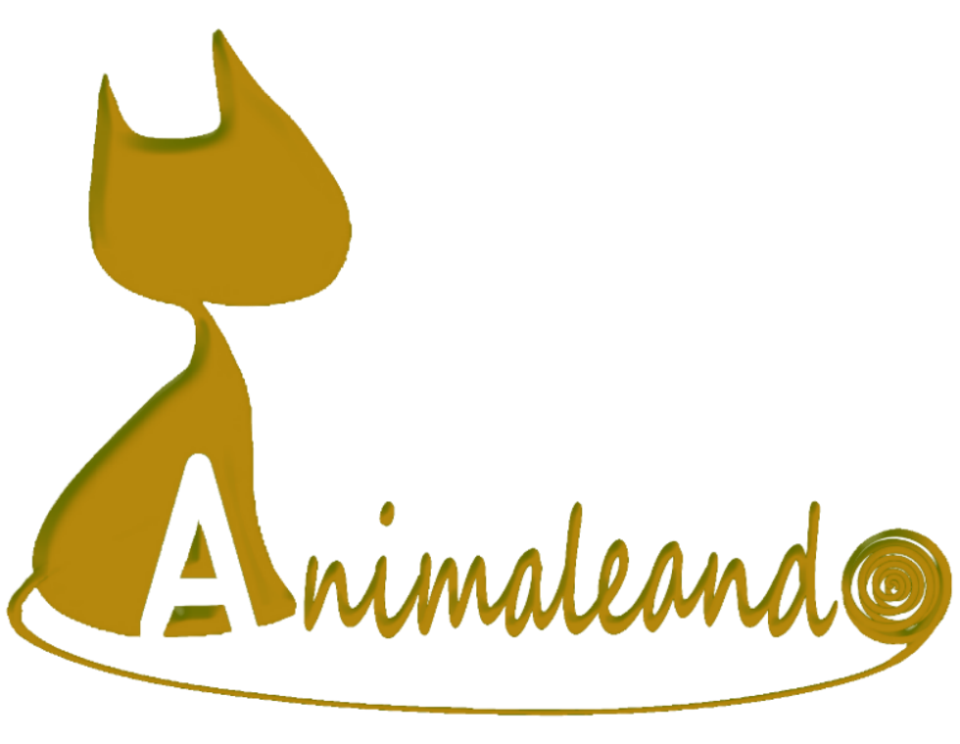 Animaleando: Nuevos Cursos que aún estás a tiempo de apuntarte!