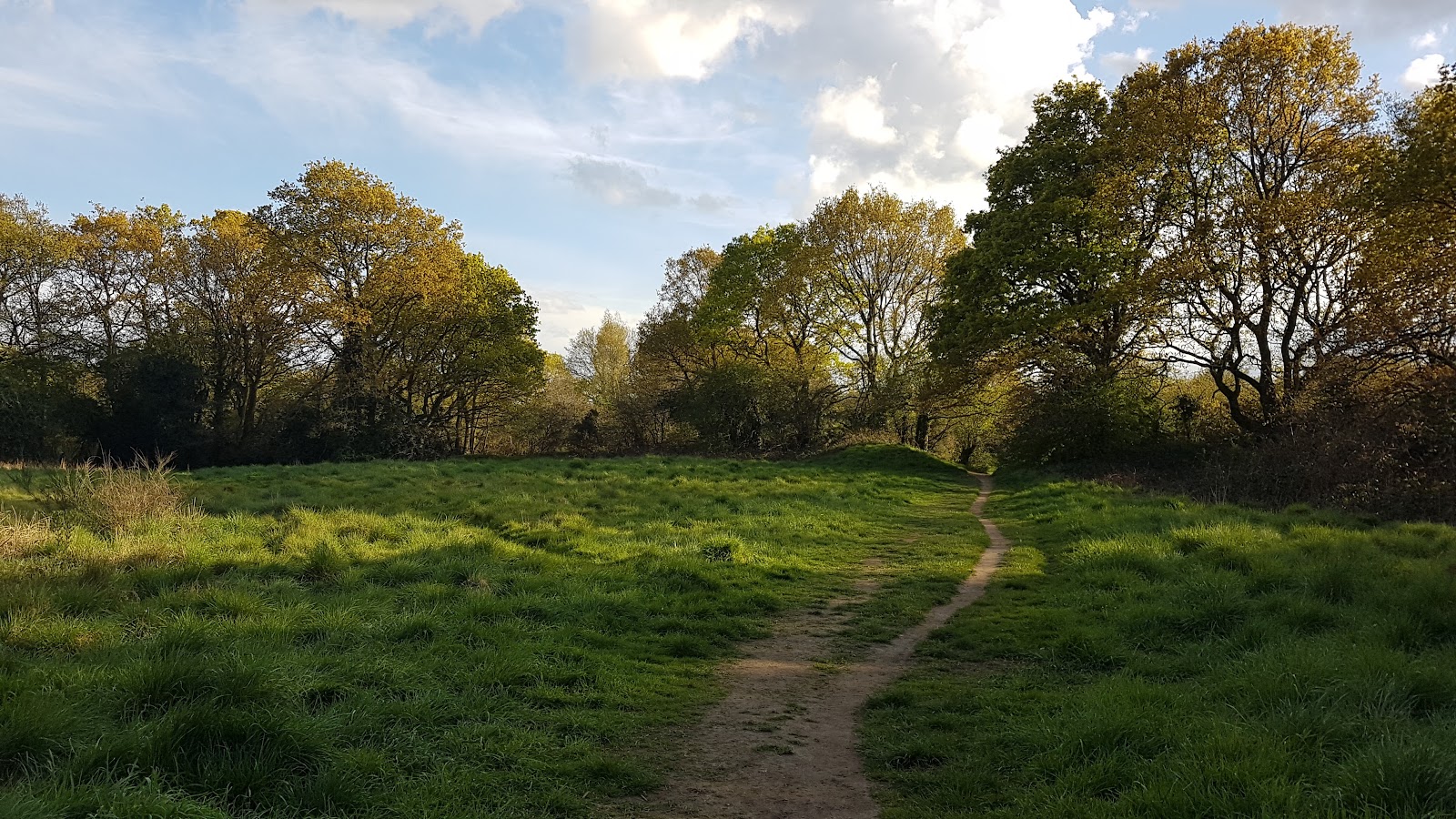 blog7t: Run>Dartford: Dartford Heath 5k 2016