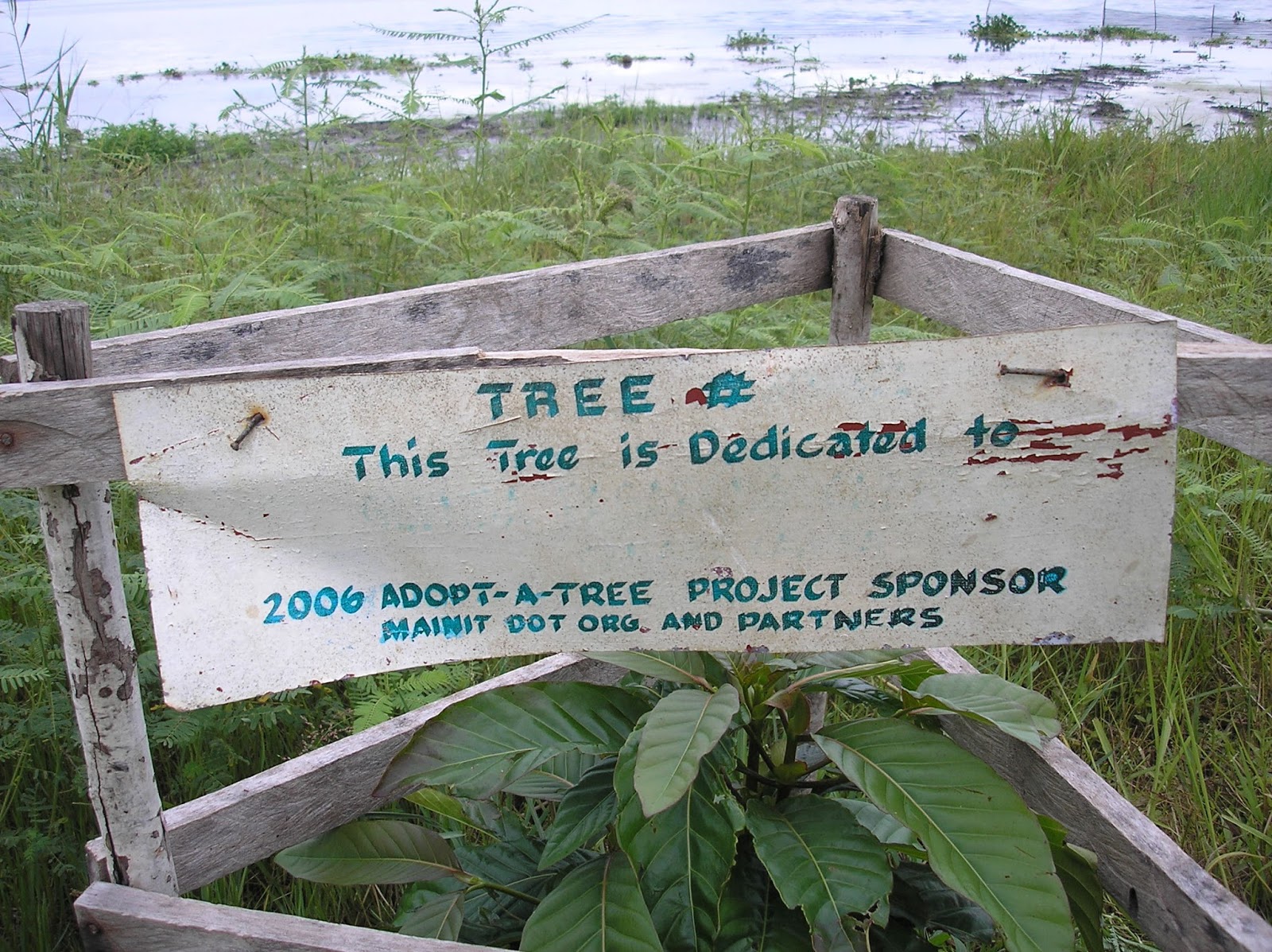 Lake Mainit of the Philippines: 2007.08.26 Monitoring the 2006 Bangkal ...