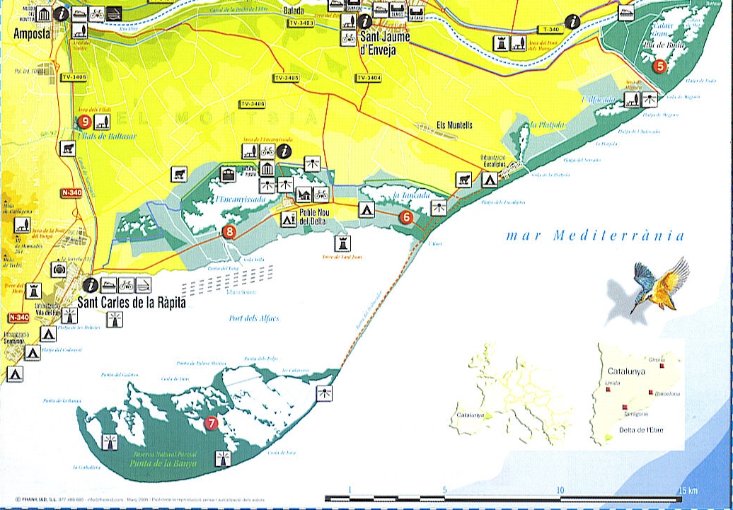 Caminando entre aves: Delta del Ebro: segunda parte